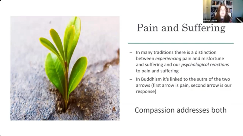 Compassion Therapy | HSP Support Group